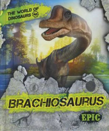 The World of Dinosaurs: Brachiosaurus by Rebecca Sabelko - 9781644875438